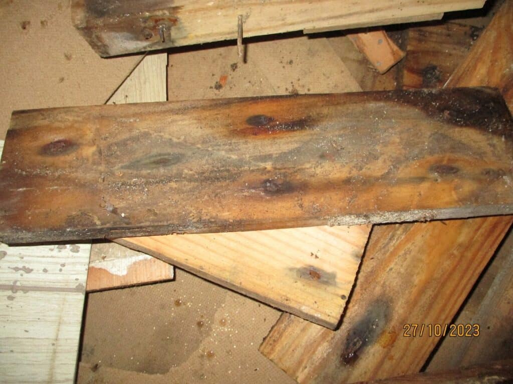 Understanding the Stack Effect | Mold and Mildew Solutions